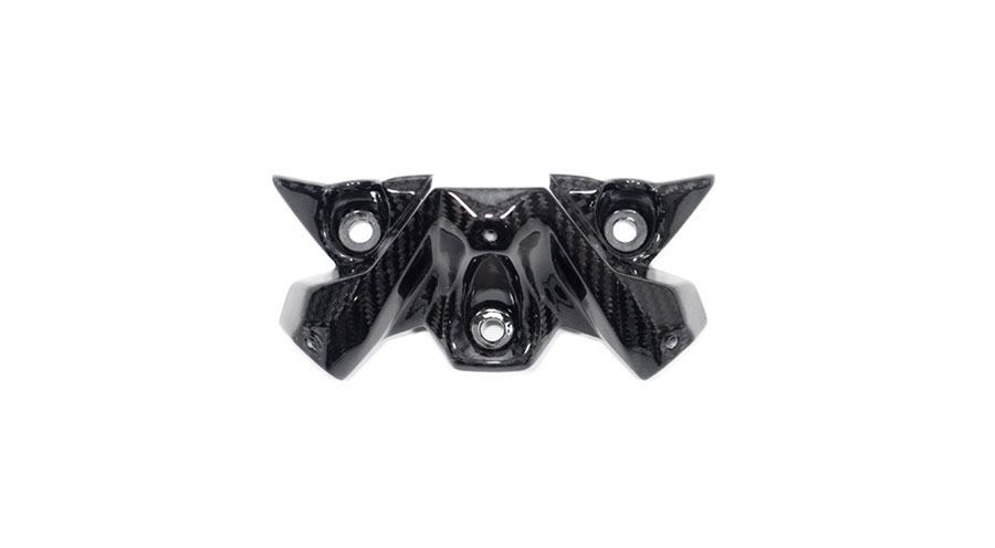 Carbon Windshield for BMW S1000R (2021- ) & M1000R (2023 ...