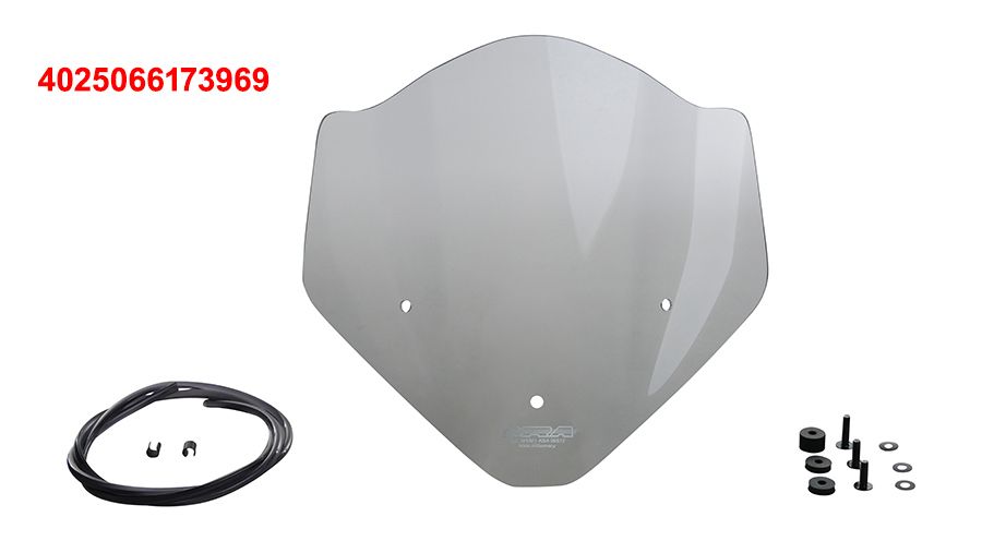 Sport windshield for BMW S1000R (2021-2024) & M1000R (2023-2024 ...